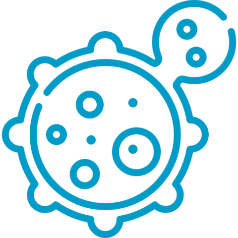 Examen Tep Scan au centre de médecine nucléaire SCINTI 13